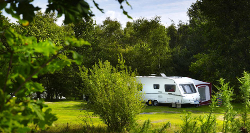 Holmsley Campsite; What are the features? | FlyCamper
