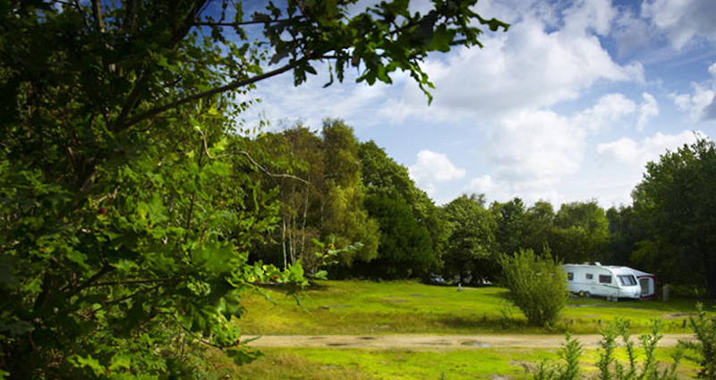 Holmsley Campsite; What are the features? | FlyCamper